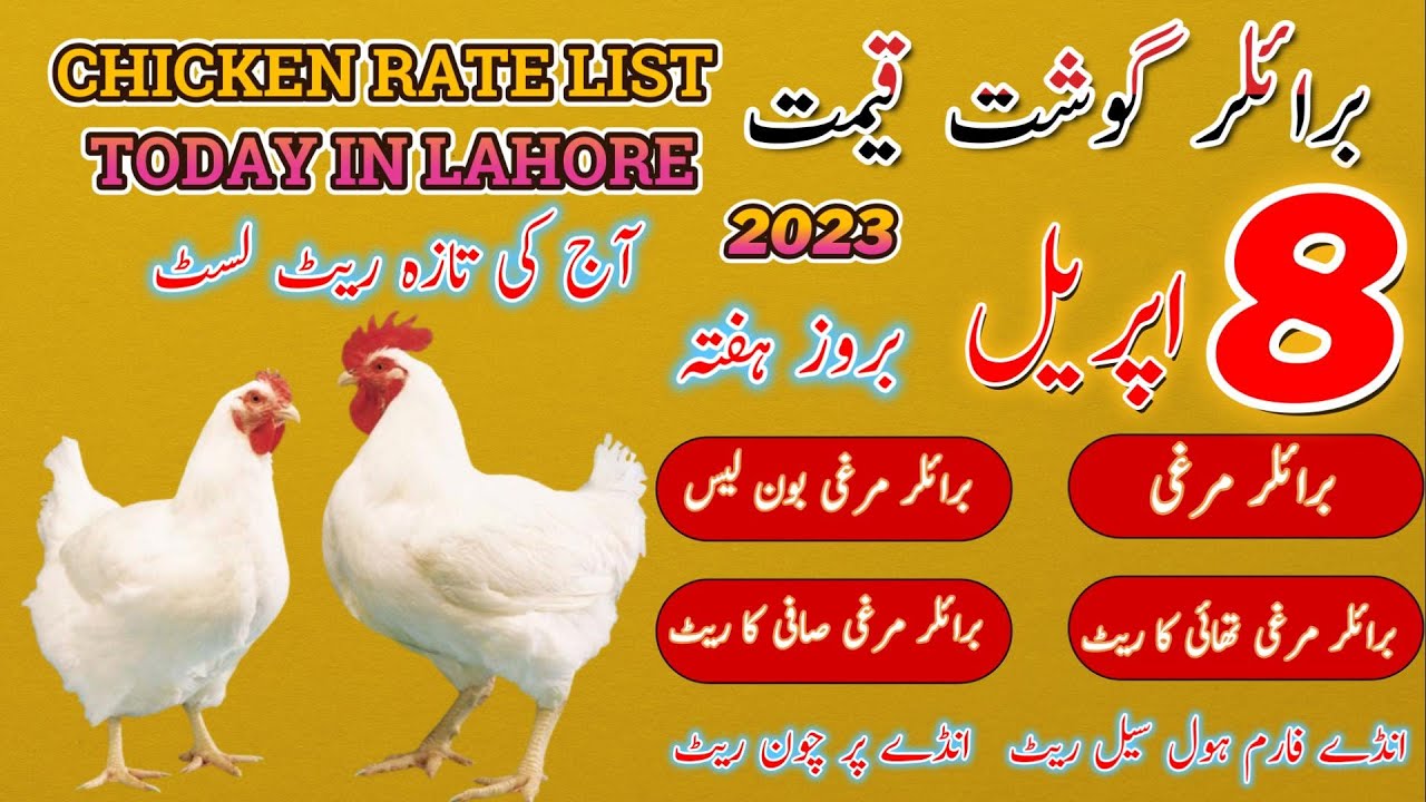Chicken Rate | Chicken Rate List Today In Lahore (08.04.2023) - YouTube