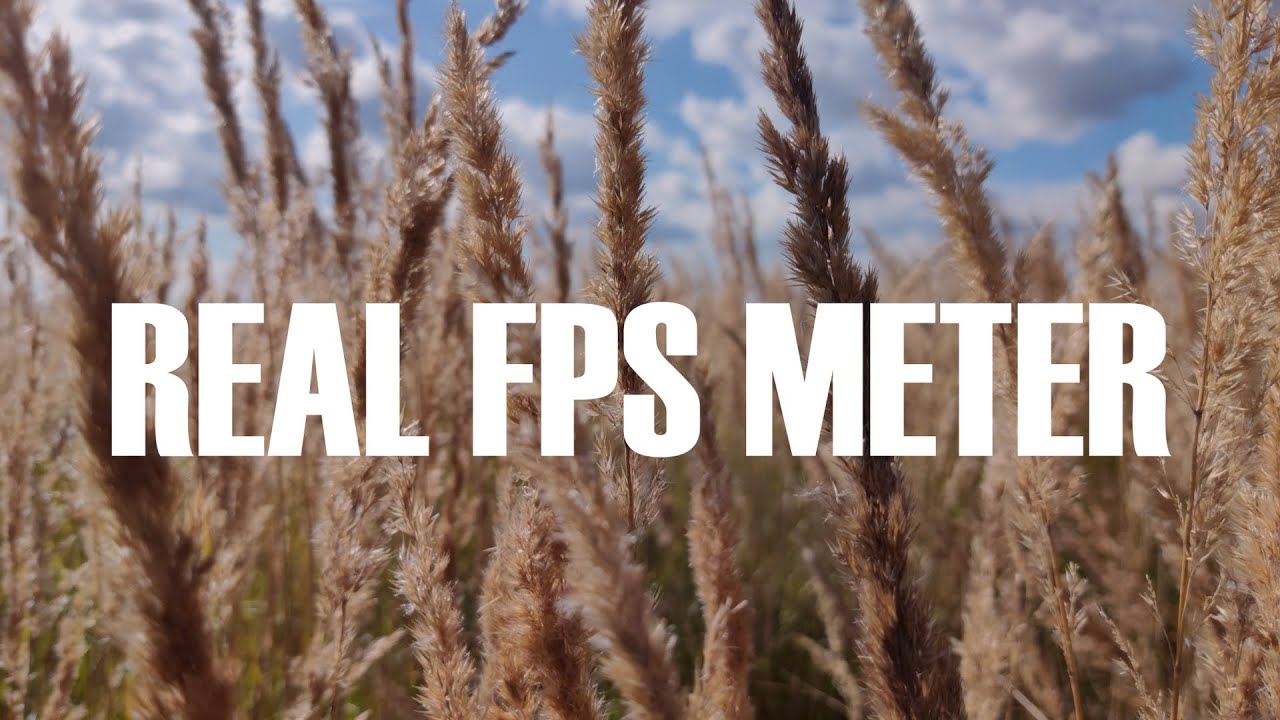 Real FPS Meter in mcpro24fps - YouTube