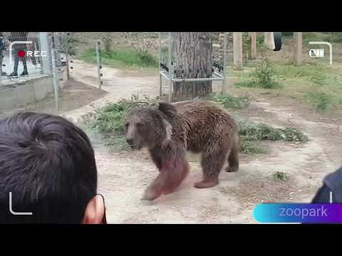 Zooparkda izdihamı yarıb içəri keçə bildik #zoopark #keşfetbeniöneçıkar #keşfet