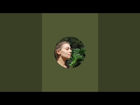 Renata Philipp está ao vivo!