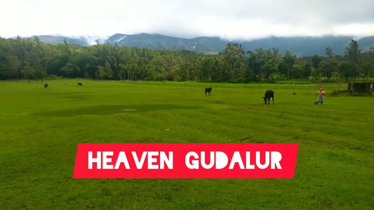 Nigiris Switzerland Gudalur -Hidden Places in Gudalur - YouTube