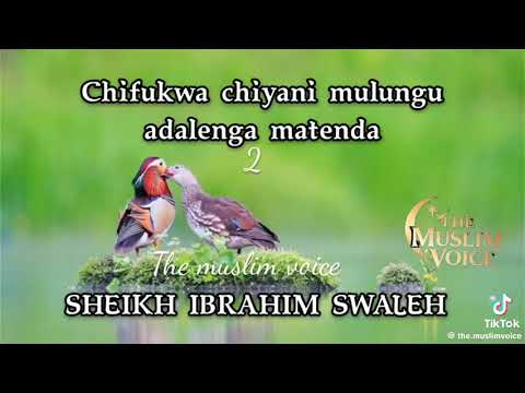 Chifukwa chiyani mulungu adalenga matenda part 2 sheikh lbrahm swaleh 