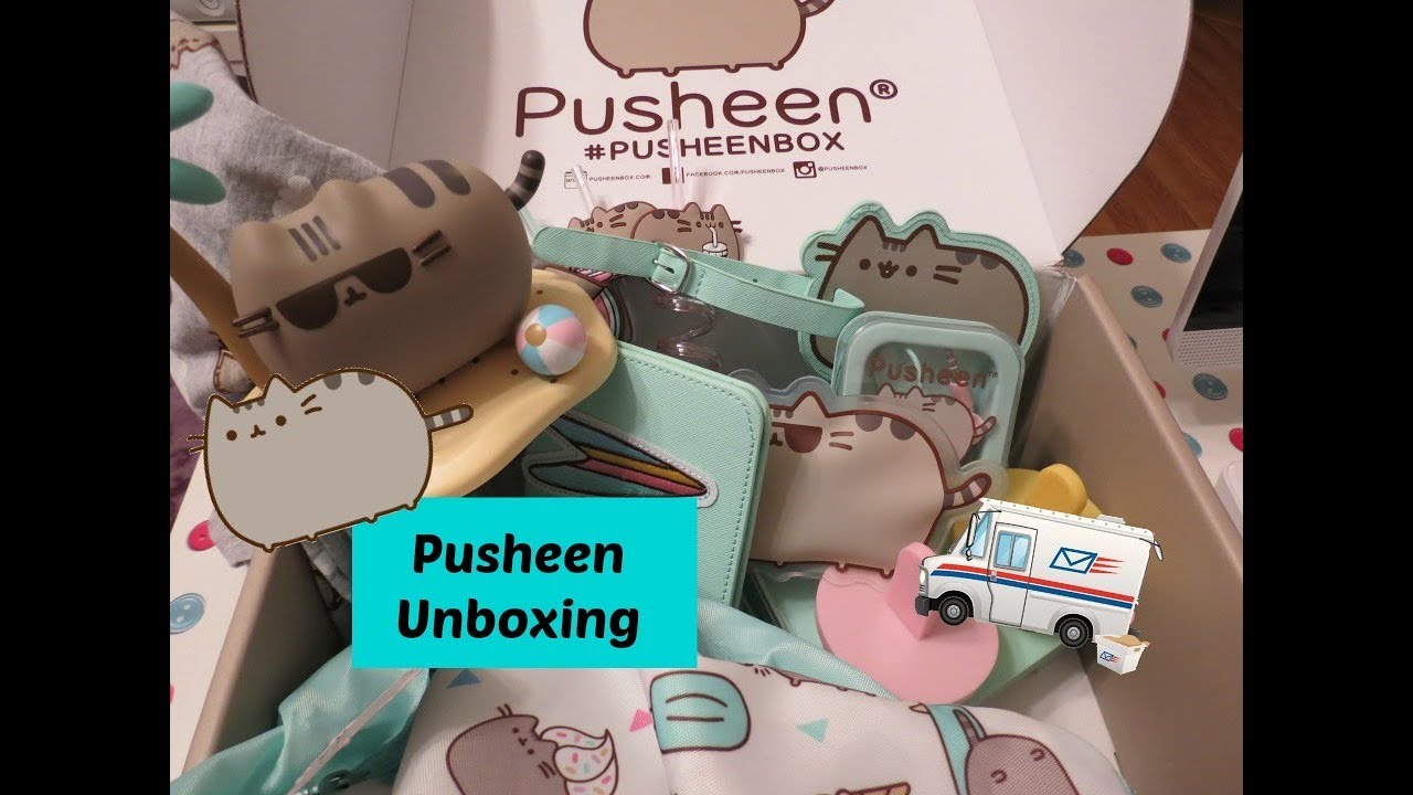 SUMMER PUSHEEN BOX 2017 UNBOXING - YouTube