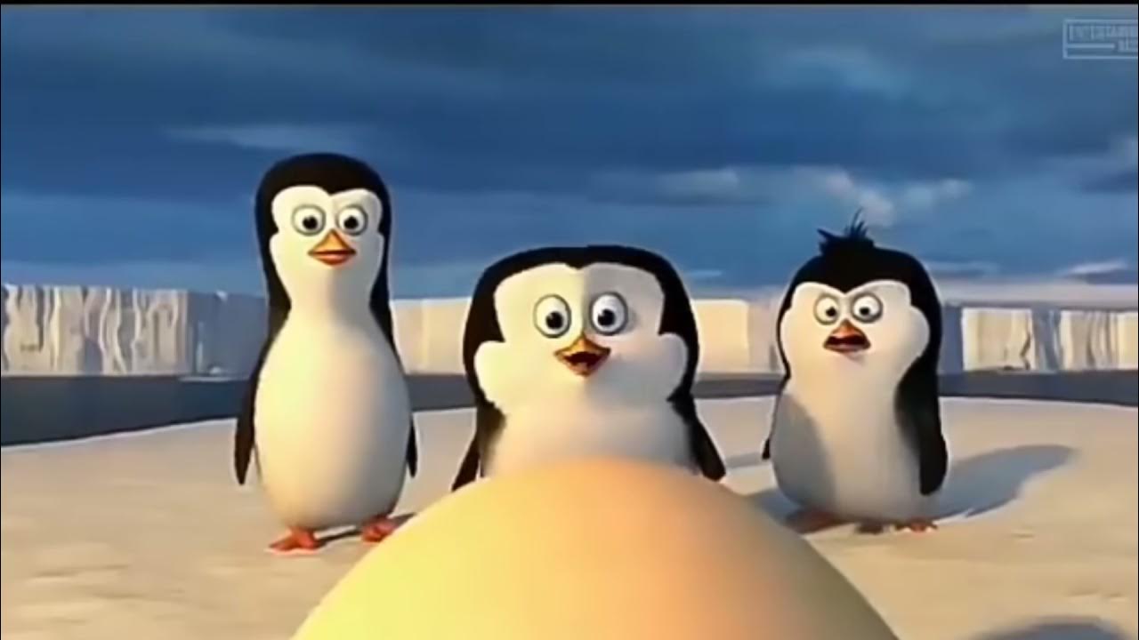 Meme Viral Bibd Penguins Madagascar Youtube
