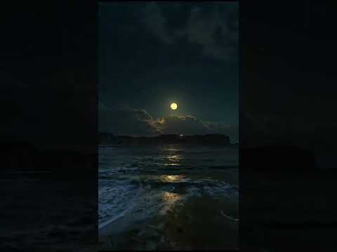 SEN BENİM İMKANSIZIMSIN & SENDE BENİM #Ümityurtkuran #Necatitofur#Şiirhanem #şiir#keşfet #