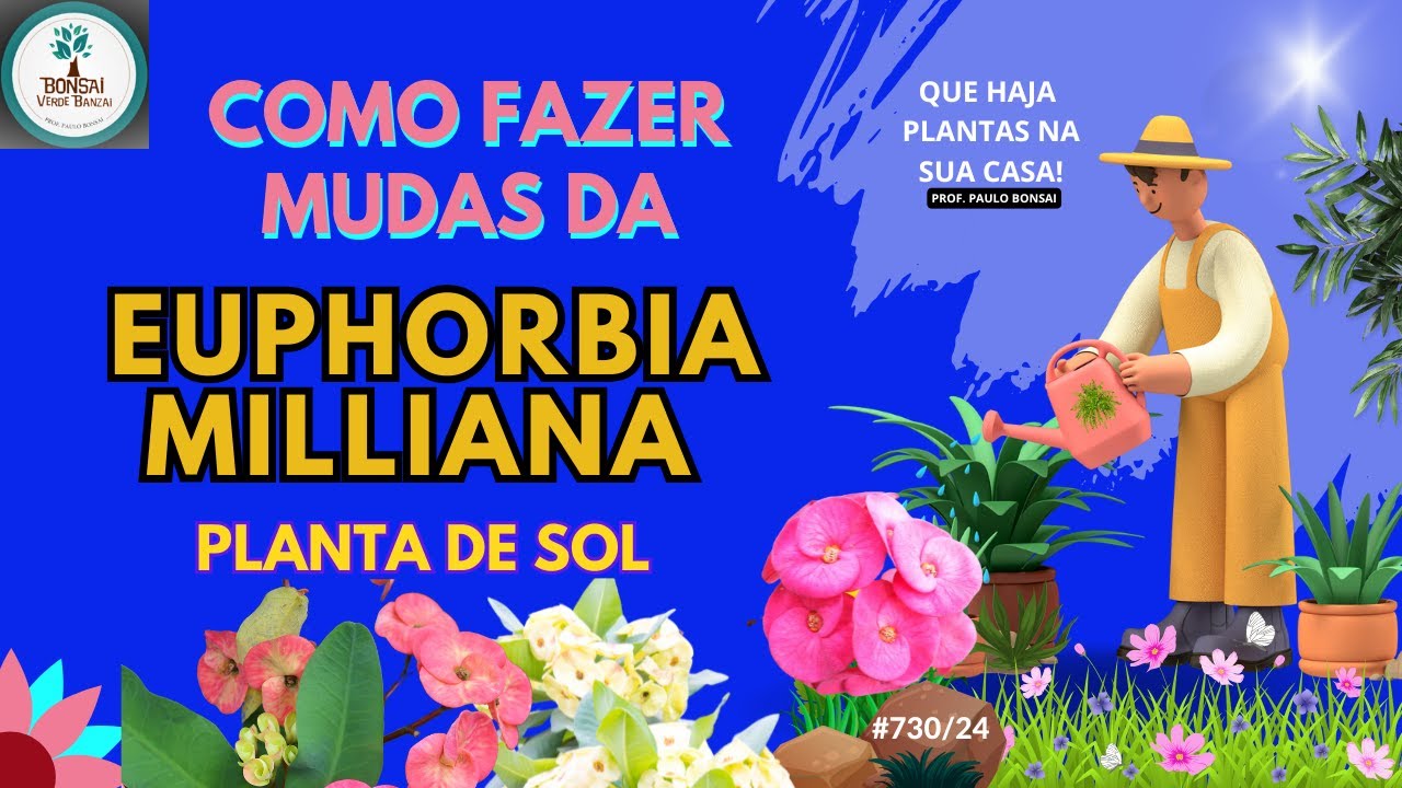 #MILLI MILLIANA? COMO FAZER MUDAS? #PauloBonsai 😉😍 - YouTube