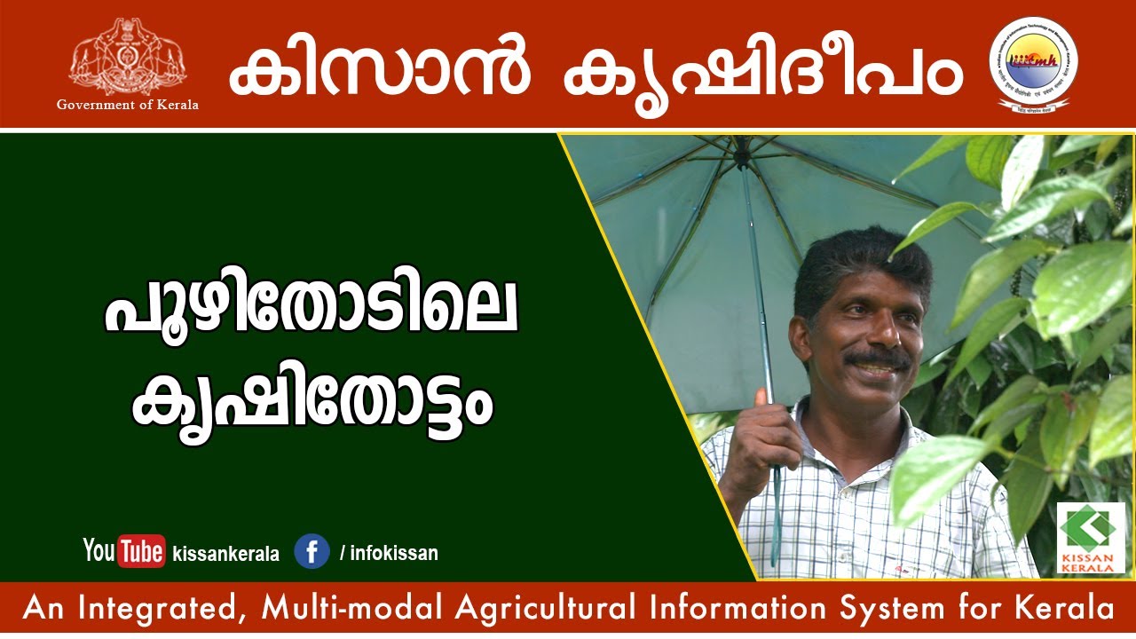 Farming in Poozhithode - YouTube