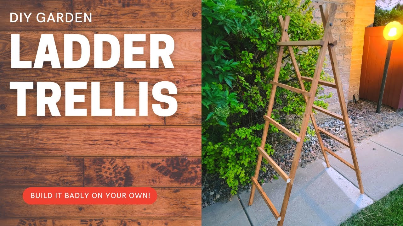 DIY Garden Ladder Trellis - Build Your Own Trellis for Vertical ...