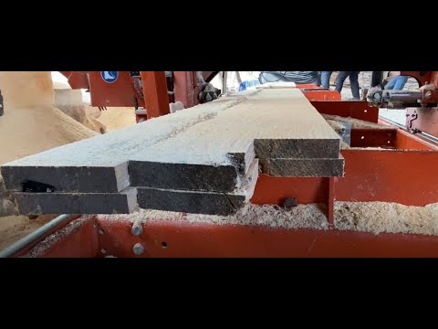 Precise sawing using bandsawmill/ Sawmill setworks Micron-LITE ...