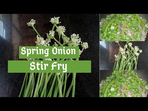 Spring onion stir fry - YouTube