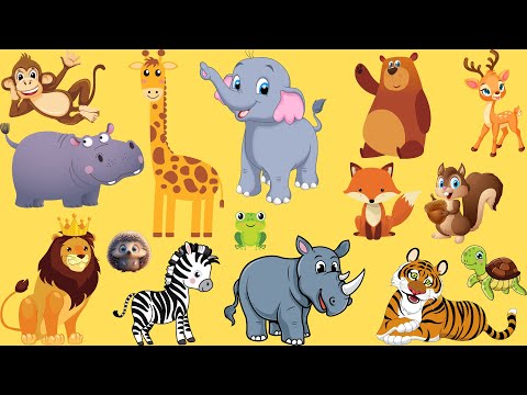 Hayvanları Tanıyalım | Orman Hayvanları | Hayvan Sesleri | Çiftlik Hayvanları