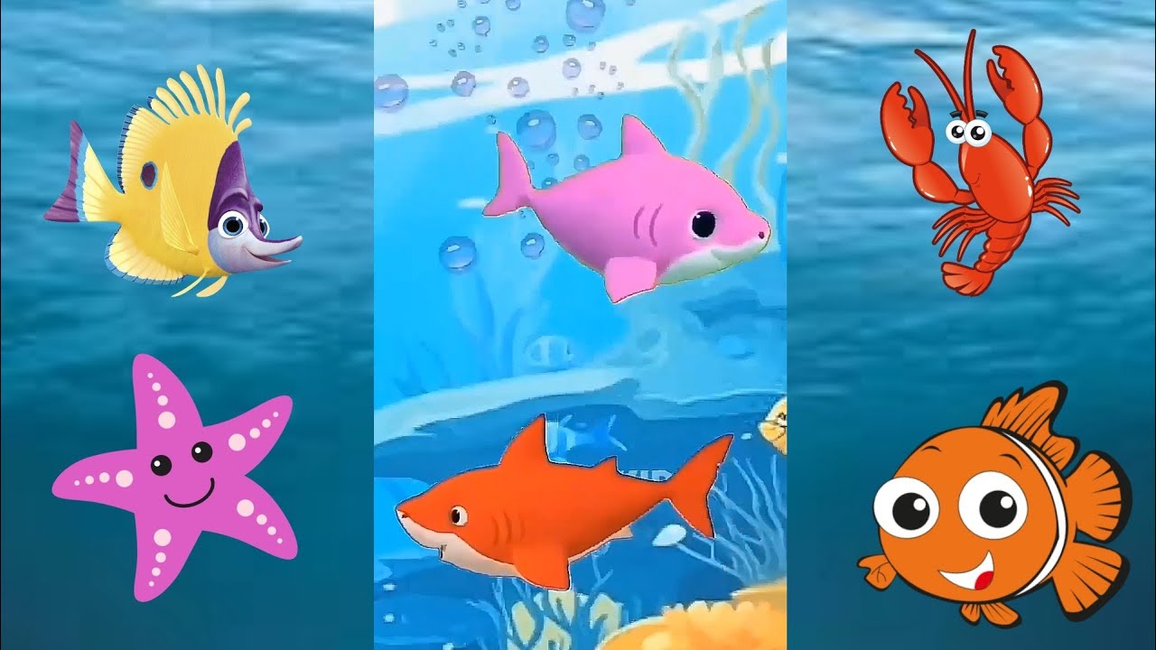 animals sea dance at ocean with Dolphin octopus Baby Shark | Baby shark ...