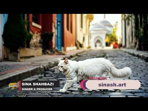 Istanbulun Kedileri  - Sina Shahbazi