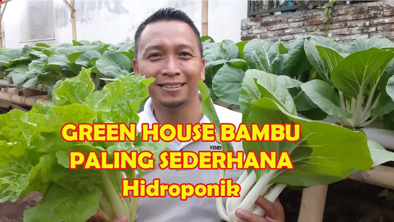 Greenhouse Bambu Sederhana - YouTube