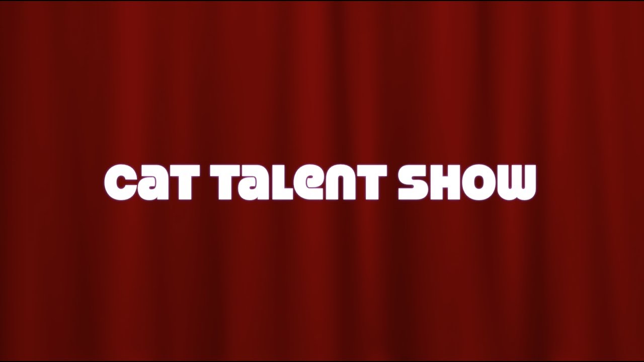 Cat Talent Show - YouTube