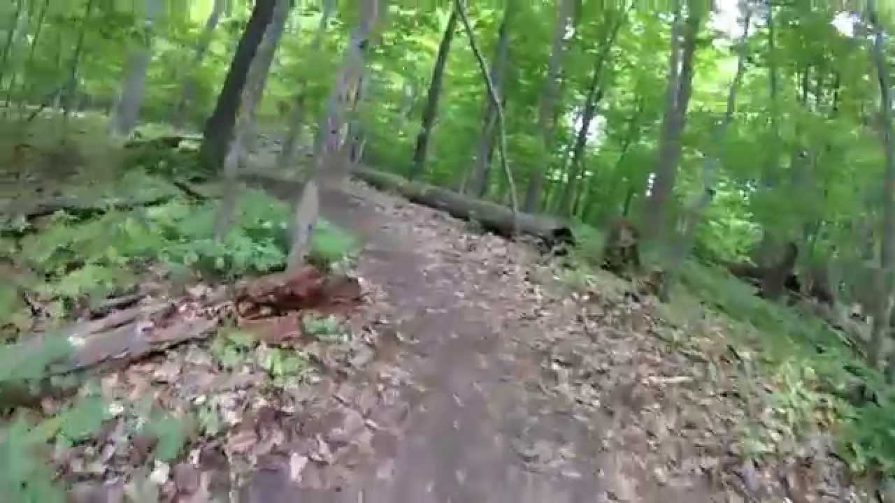 Novi Lakeshore Park (Novi Tree Farm) RAW - YouTube