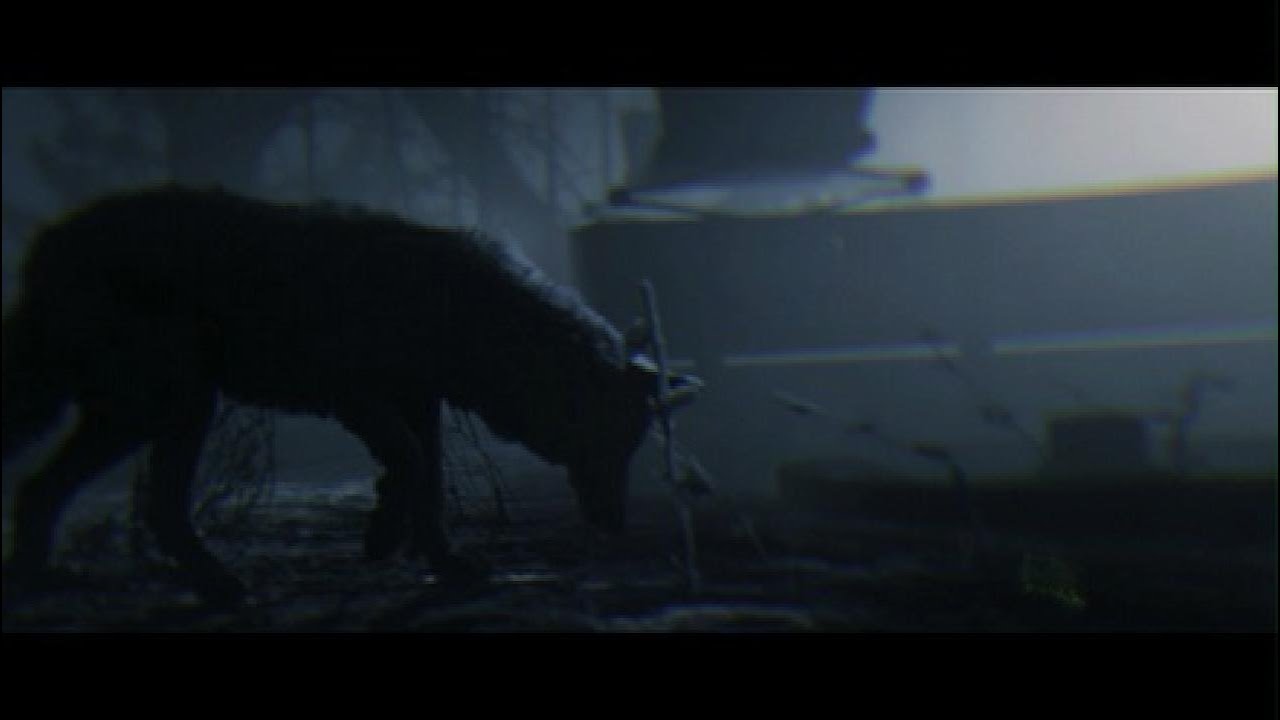 Red Dead Redemption 2 Lonely Wolf #rdr2 #rockstar #sony - YouTube