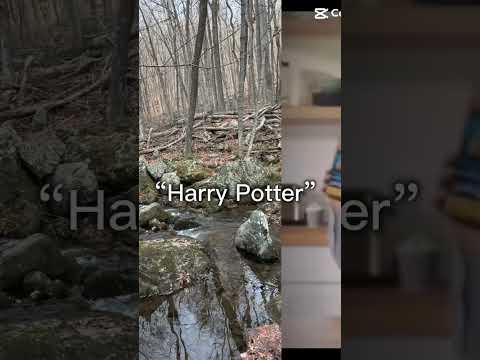 Just stating facts man - YouTube