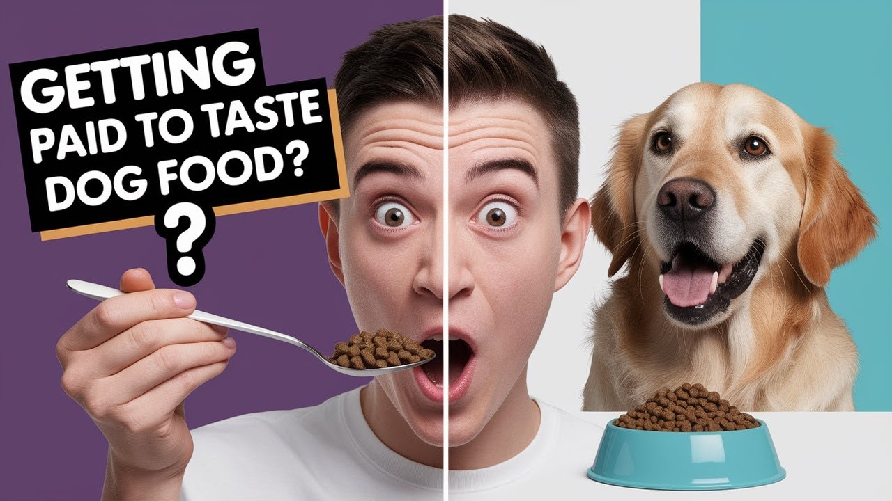 The Secret Life of a Pet Food Taster: Getting Paid to Taste Dog Food ...