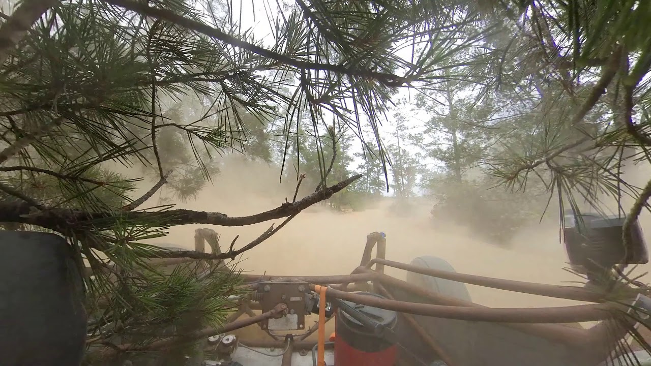 WATCH OUT FOR THAT TREE! - YouTube