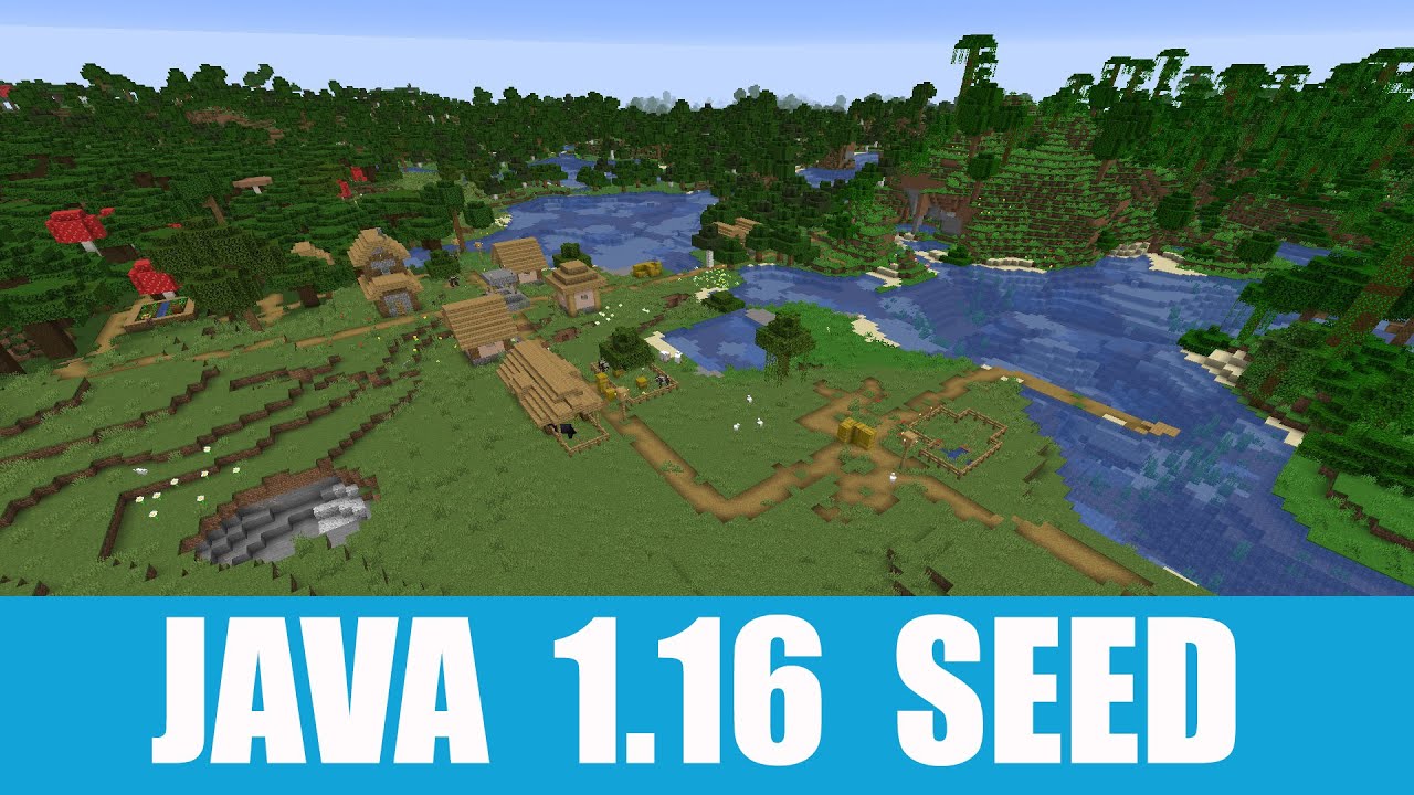 Minecraft Java 1.16 Seed: Village at spawn occupies four biomes: plains ...