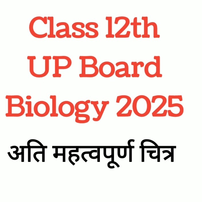 Class 12th UP Board Biology 2025 अति महत्वपूर्ण चित्र #shorts #UP Board ...