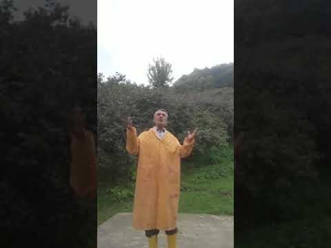 fındık toplayan ustanın isyanı    Desteklerinizi esirgemeyin..
