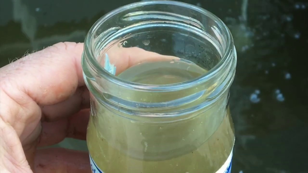 Adding a DIY bog filter to my existing fish pond - YouTube