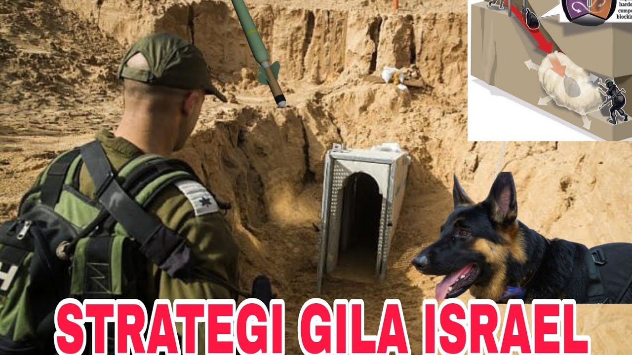 ISRAEL SANGAT SADISSS!!! ANJING PUN DIKERAHKAN DALAM BUNKER UNTUK ...