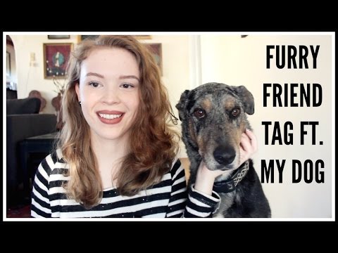 FURRY FRIEND TAG ft. My Dog! | Ariel Lauren
