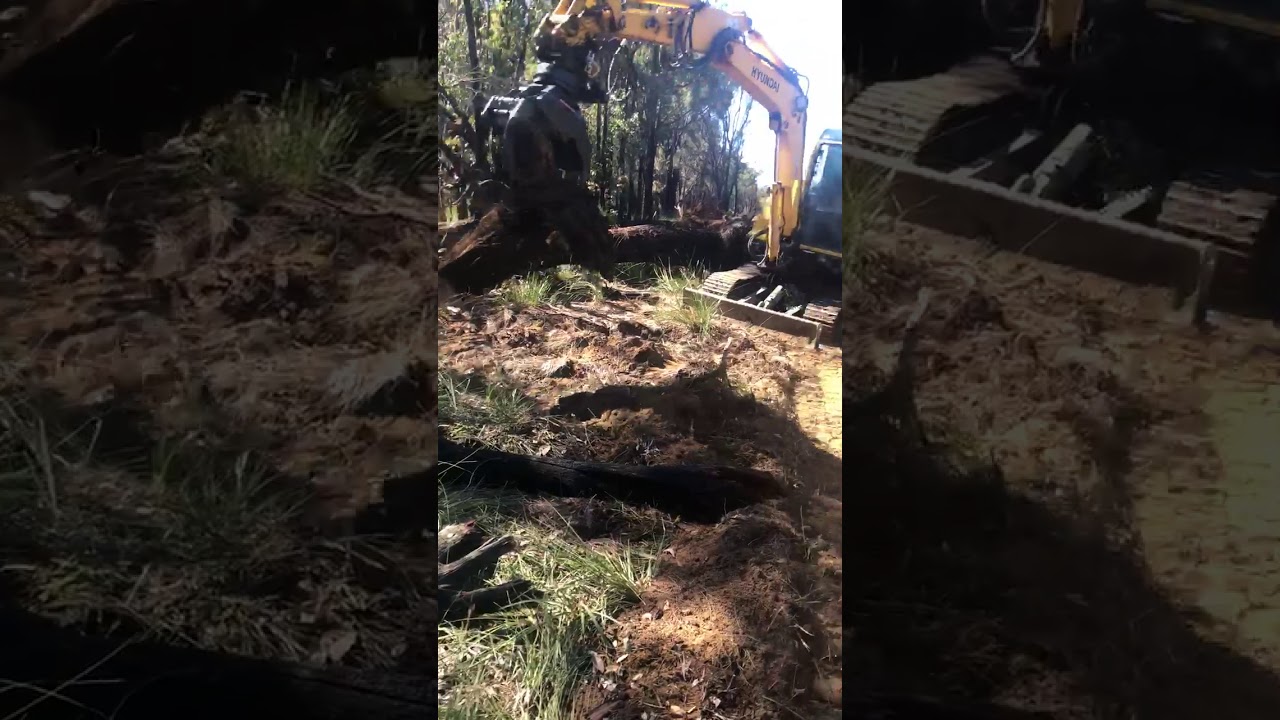 Moving tree stumps with grapple - Hyundai excavator www.grapples.com.au ...