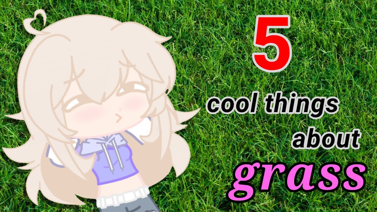 🐄 5 Cool Things About Grass - that you've never heard before 👀 ...