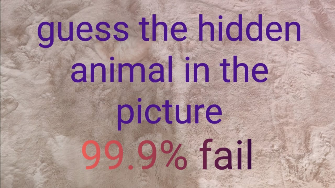find the hidden animal in the picture🤷 only genius can find the animal ...