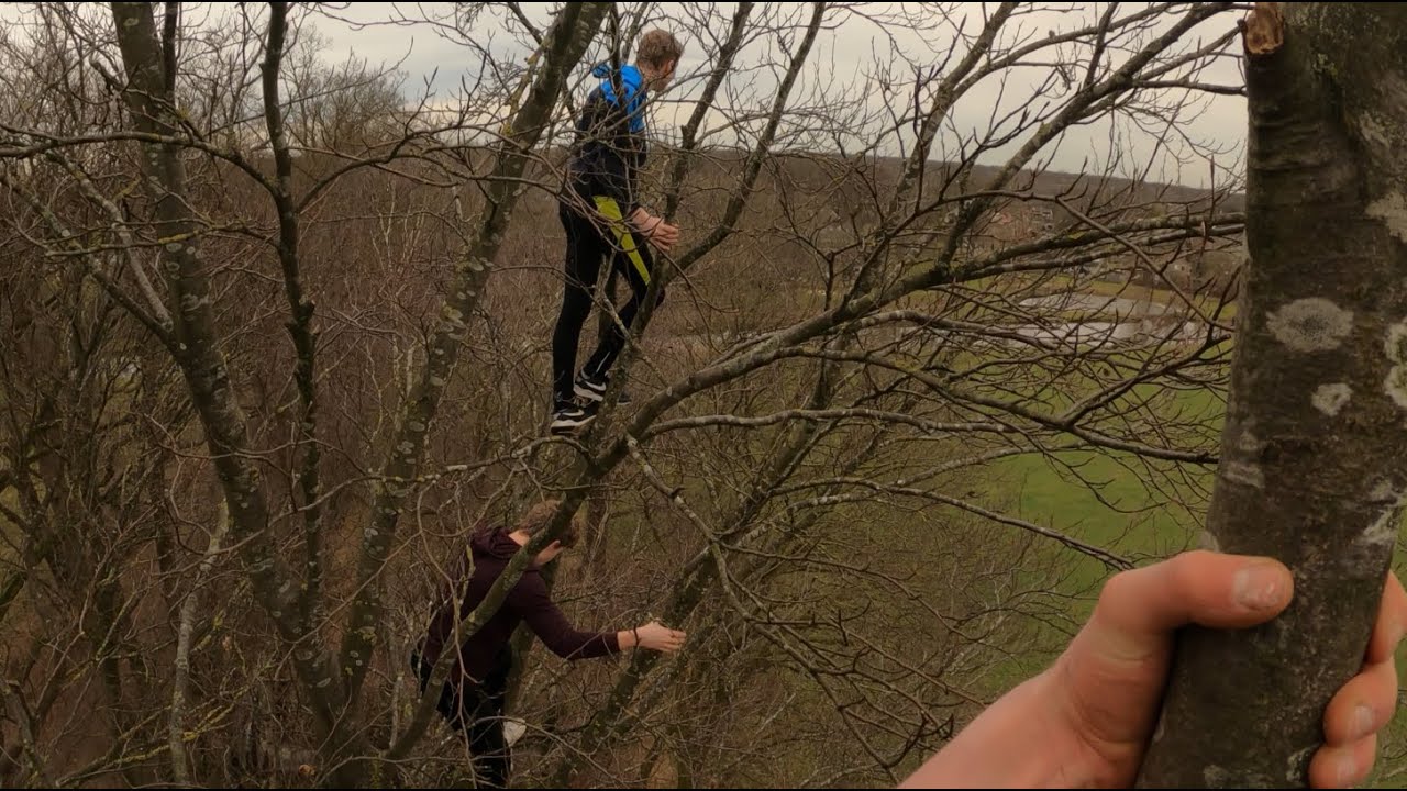 High tree climb (freeclimb) - YouTube