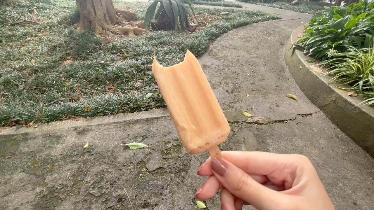 Trying several DELICIOUS ICE CREAM flavors in BRAZIL! - YouTube