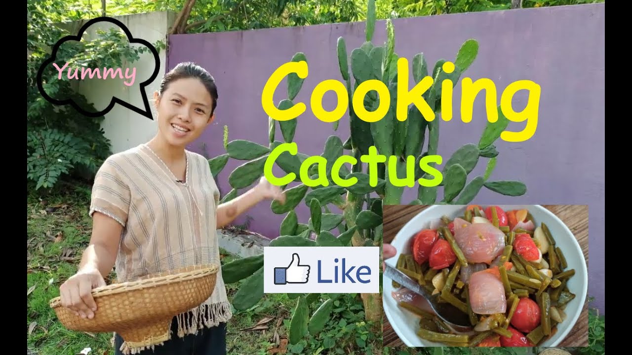 Cooking Cactus 你们有吃过仙人掌吗 ? - YouTube