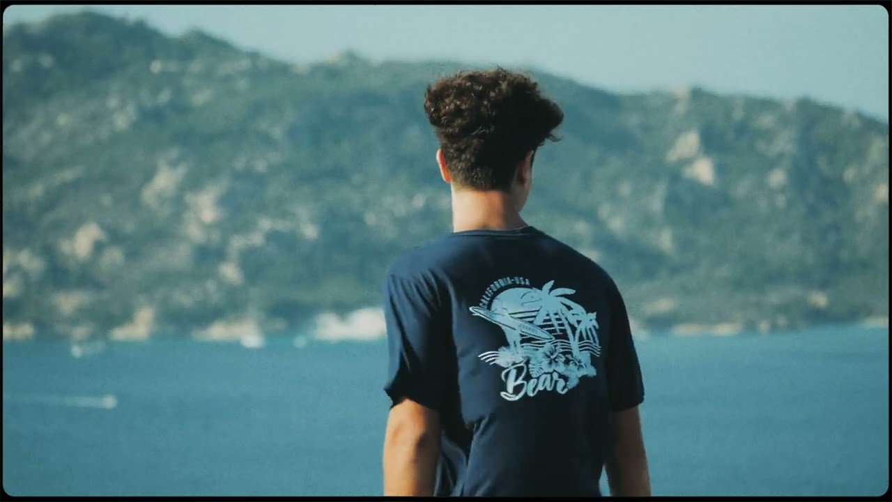 Bear Surfboards | Official Website