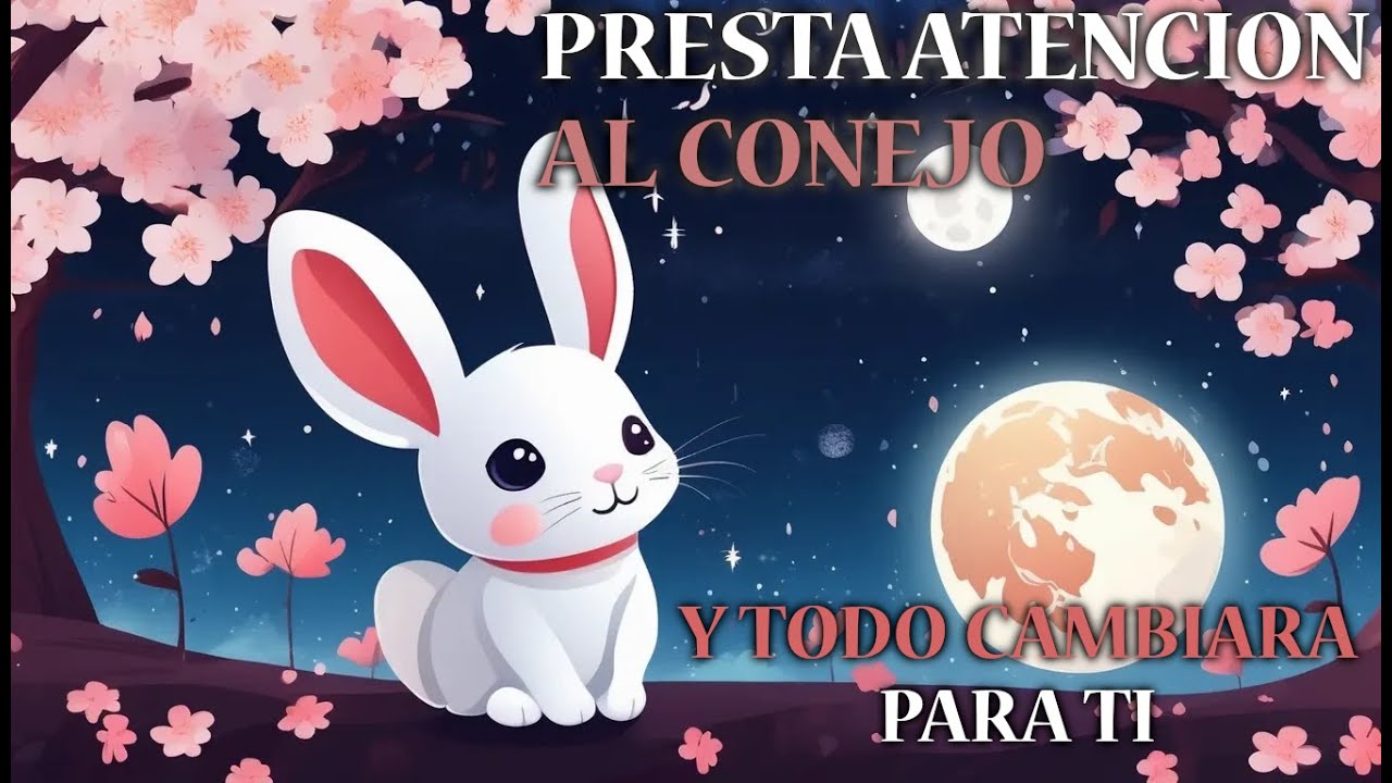 El Conejo que se Convirtió en Leyenda: La Prueba del Dios Lunar - YouTube