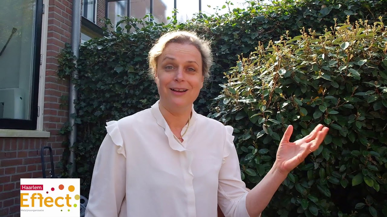 Sofie Vriends over Haarlem Effect in Coronatijd - YouTube