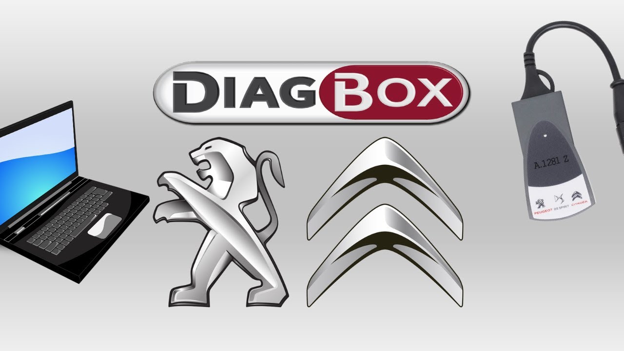 Valise de diagnostic PSA complète : DIAGBOX GRATUIT !!! - YouTube