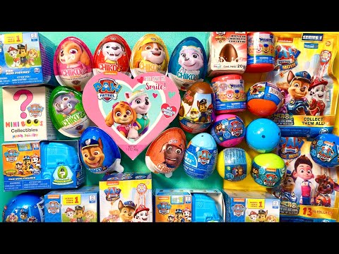 Asmr HUGE PAW PATROL SURPRISE TOYS 🐶 UNBOXING MYSTERY BOXES Blind Bags Satisfying ASMR Collection