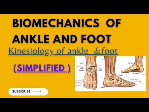 Ankle and foot biomechanics | kinetic & kinematics movements of ankle ...