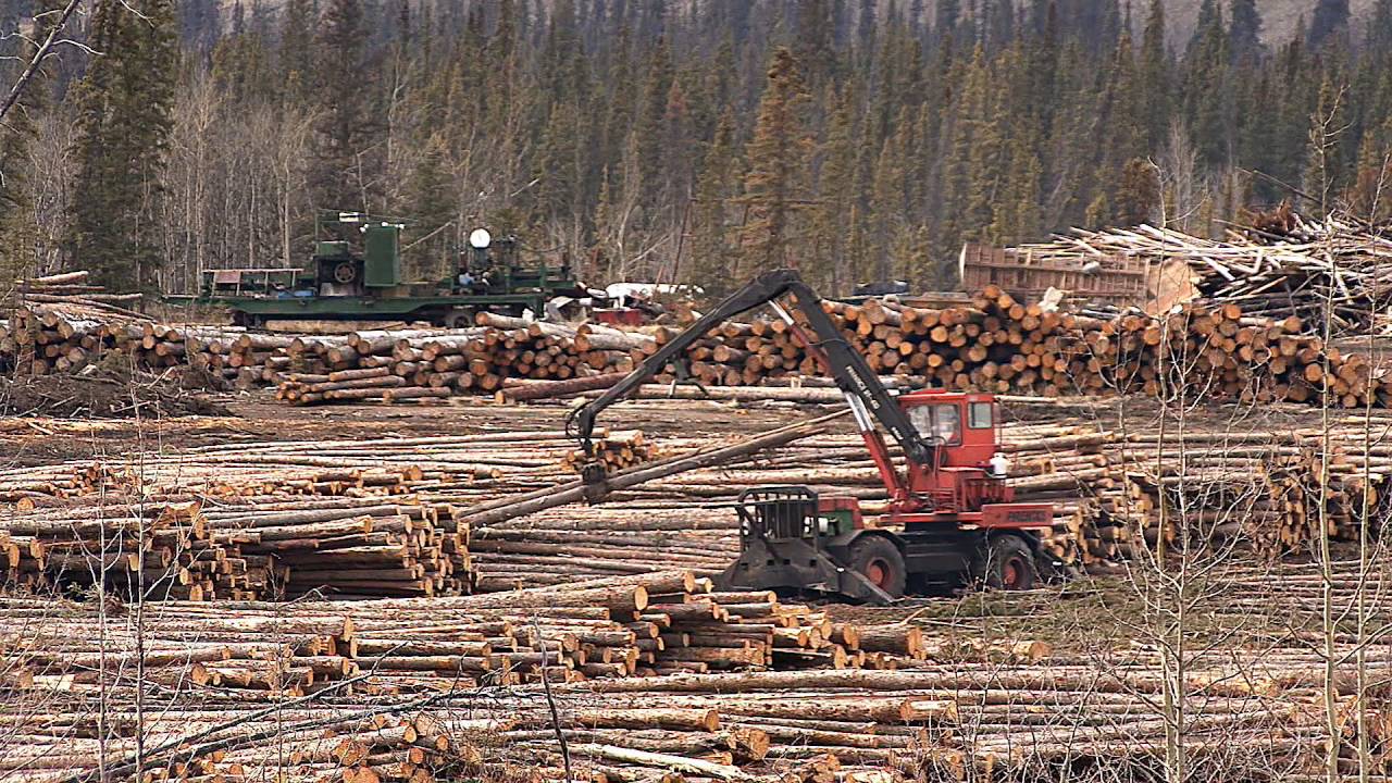 MS Land Specialist - YouTube