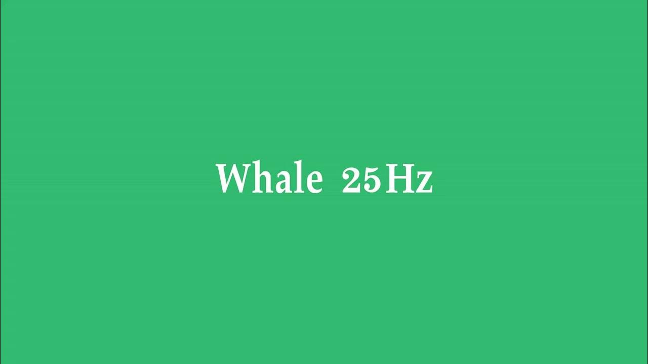 WHALE 25HZ - Music - YouTube