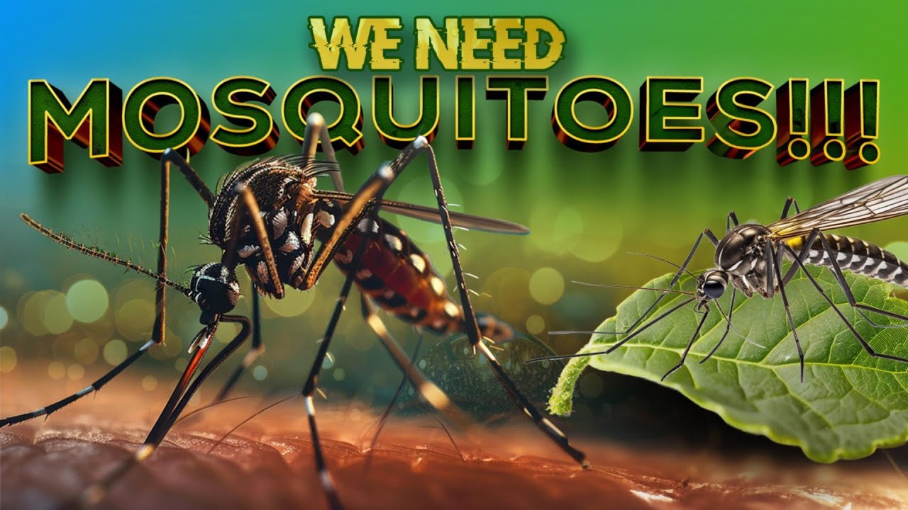 Life On Earth Would DIE Without MOSQUITOES!! - YouTube
