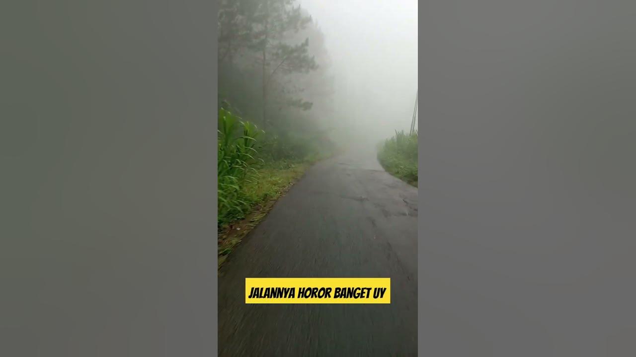 Jalan berkabut, horor - YouTube