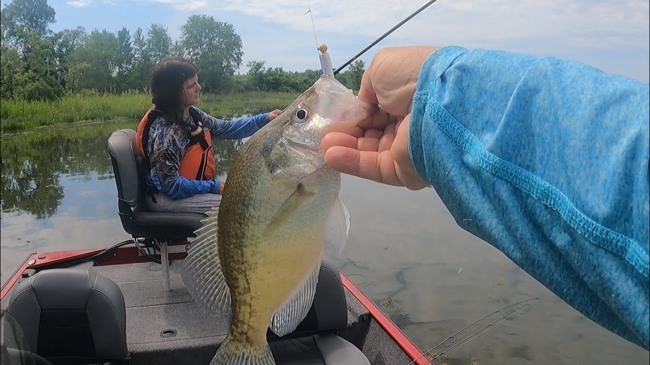 crappie fishing stump loaded with crappie - YouTube