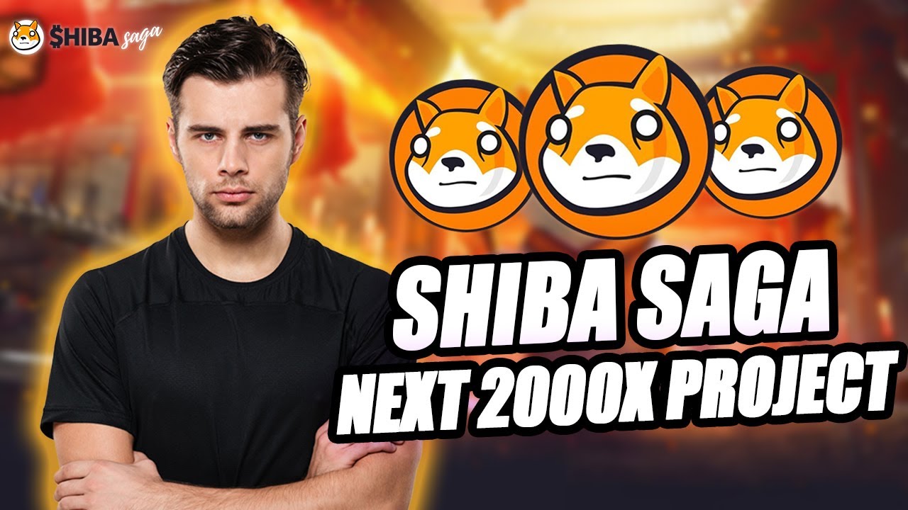 Shiba Saga Next 2000X Project of 2024 - YouTube