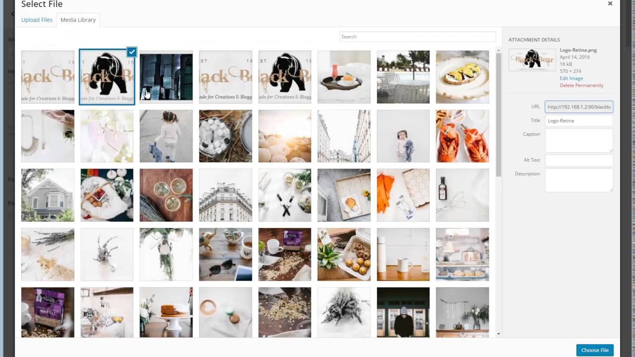 02- Black Bear - Header Settings - YouTube
