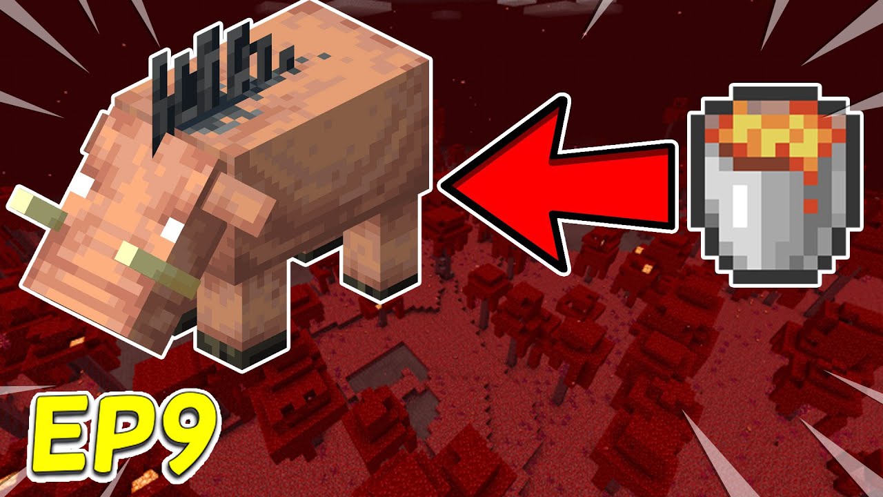 Minecraft: NETHER SURVIVAL LETS PLAY EP. 9 - BEST WAY TO HARVEST AND ...